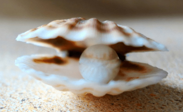 BUSQUEMOS PERLAS ESCONDIDAS, Semana del 27 de febrero a 5 de marzo del ...