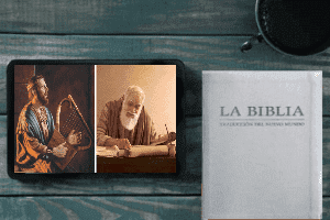 TEXTO DIARIO, De hoy Jueves 23 de noviembre, Oh, Dios, ¡qué valioso es ...